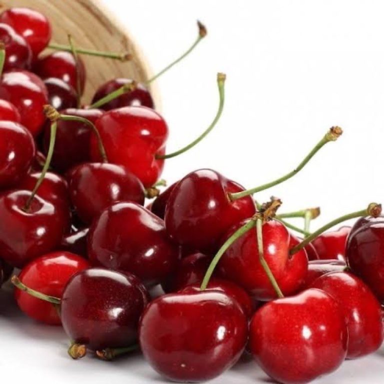 global fruit – globalfruit.co.th